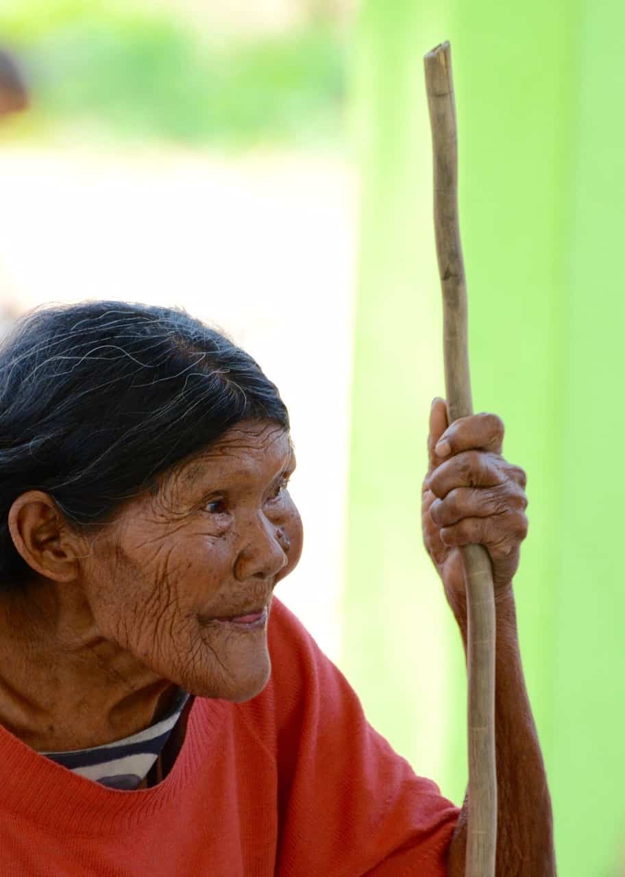 Ayoreo | Museo Verde